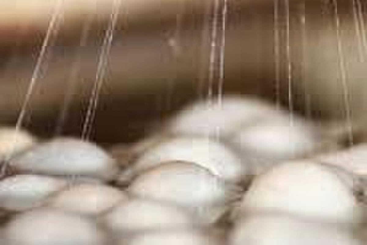 Air Force Studying Spider Silk for Stronger Body Armor, Parachutes ...