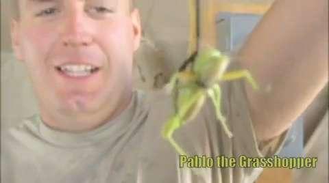 Pablo the Grasshopper Prank | Military.com