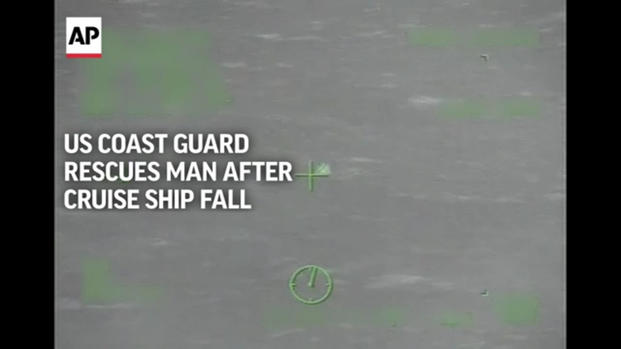 US Coast Guard Rescues Man After Cruise Ship Fall | Military.com