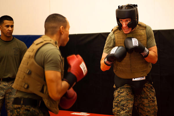 Military Martial Arts and Related Civilian Jobs | Military.com